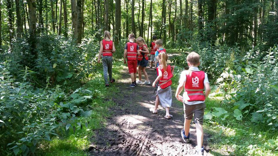 boomhut (2) - Kidsfirst